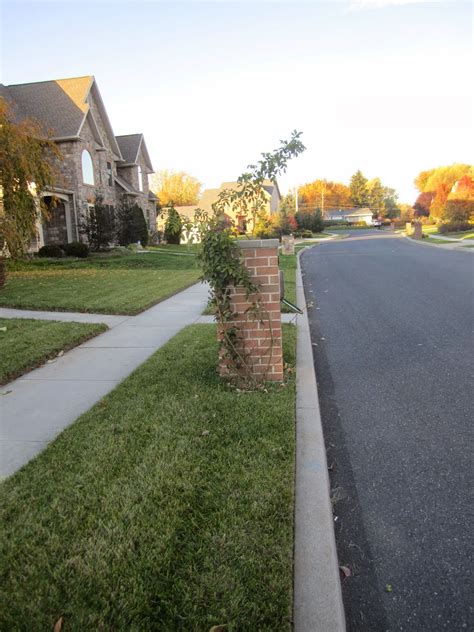 Kellinger 1 Monocular Cue Relative Size