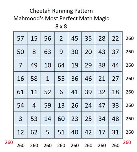 Math Magic Mystery Cheetah Running Pattern 8x8 Most Perfect Math Magic