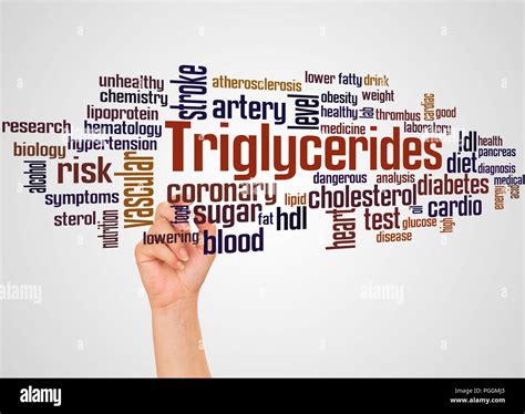Triglycerides Word Cloud And Hand With Marker Concept On Gradient