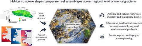 Habitat Structure Shapes Temperate Reef Assemblages Across Regional Environmental Gradients