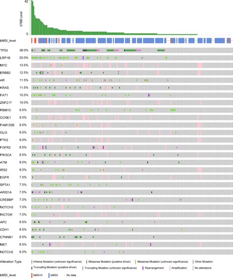 Genomic Profiling Of Ctdna Sequencing In Advanced Gastric Adenocarcinoma Download Scientific