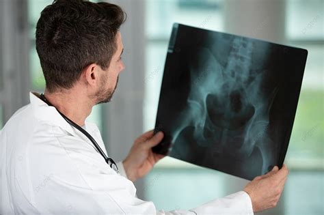 방사선 전문의가 엑스레이를 검사하다 벡터 배경 및 무료 다운로드를위한 그림 Pngtree