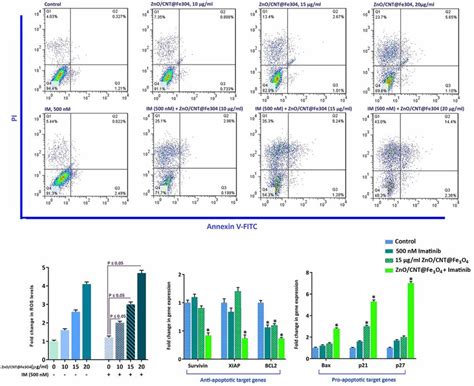 Znocntfe3o4 Enhanced Imatinib Mediated Apoptosis In K562 Cells After Download Scientific