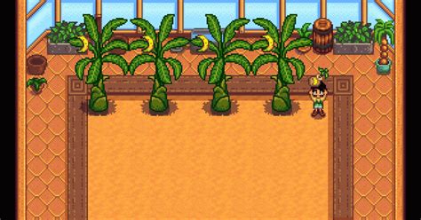 Stardew Valley Banana Tree Everything You Need To Know Stardew Guide