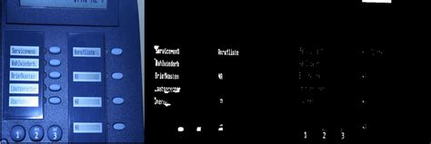 Segmentation With Bilinear Or Nearest Or Cubic Vision Pytorch Forums
