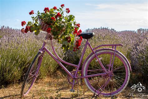 Canon Eos 70d Sample Photo Hhojw9y14p Explorecams