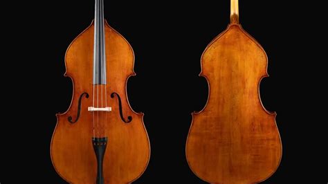 Upright Bass Parts Diagram And Components Overview