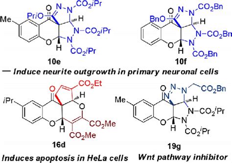 Structurally Andfunctionally Diverse Tetracyclic Benzopyrones