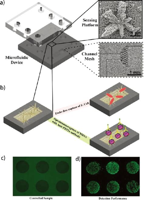 Schematic Illustration Of An Integrated Fluidic Device For Selective