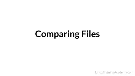 020 Comparing Filespdf
