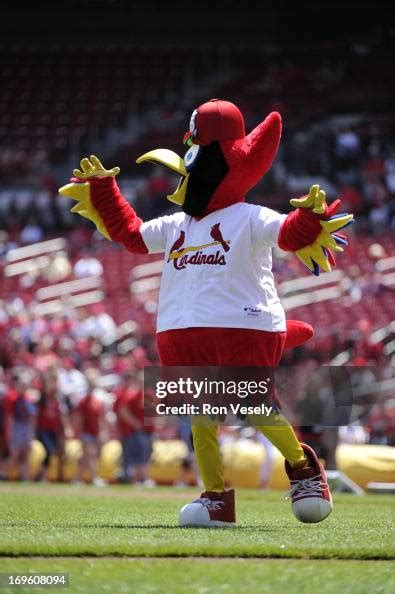 St Louis Cardinals Mascot Fredbird Entertains Fans Before The Game News Photo Getty Images