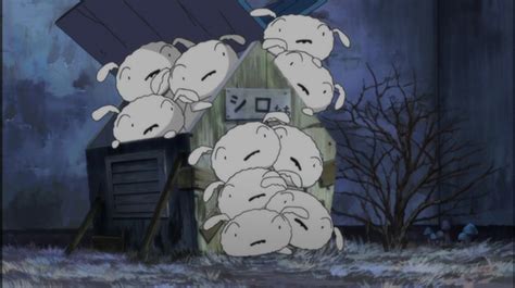 20180703101155 Zpelnfnt 