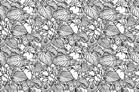 헤이즐넛의 사실적인 그림 그래픽 헤이즐넛 요소의 세트 손으로 흰색 배경에 고립 그린 예술에 대한 스톡 벡터 아트 및 기타 이미지 예술 외형선 헤이즐넛 Istock