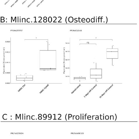 Overview Of Annotated Genes And Unannotated Transcripts Enriched In Download Scientific Diagram
