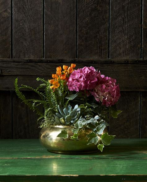 27 Ways To Grow Hydrangeas In Containers