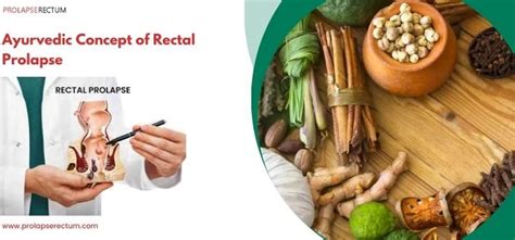 Ayurvedic Concept Of Rectal Prolapse