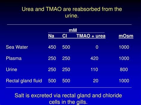 Ppt Hypo Osmotic Hypo Ionic Regulation Powerpoint Presentation