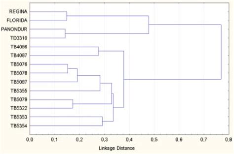 Dendrogram Generated By The Upgma Analysis Calculated From Rapd Markers
