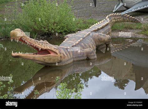 Sarcosuchus An Extinct Giant Crocodile Of Cretaceous Dinosaurier Park
