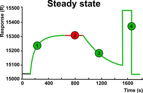 Steady State