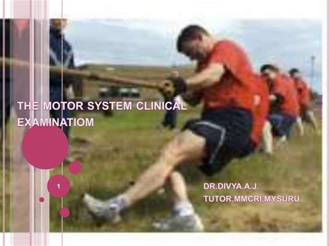 The Motor System Clinical Examination Part 1except Reflexs Pptx