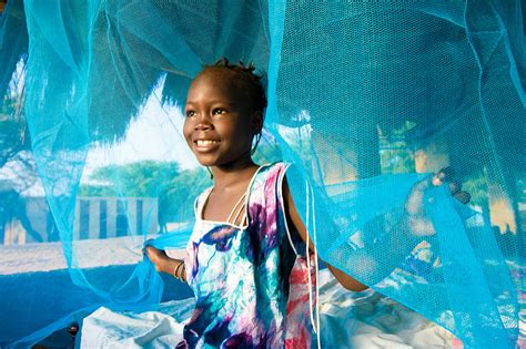 Insecticide Treated Bed Nets Key In Fight Against Malaria The Borgen