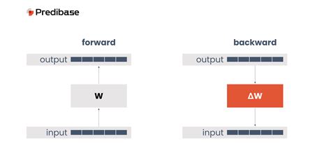 5 Reasons Why Lora Adapters Are The Future Of Fine Tuning