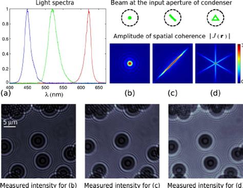 A Measured Illumination Light Spectra Ocean Optics Usb2000