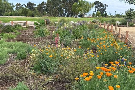 Education Program California Native Plant Society Cnps