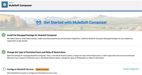 enable mulesoft services and user access salesforce trailhead
