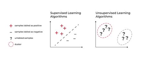 Machine Learning In Digital Pathology Image Analysis Postindustria