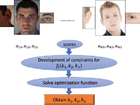 Figure 2 From Multibiometric Score Level Fusion Through Optimization And Training Semantic Scholar