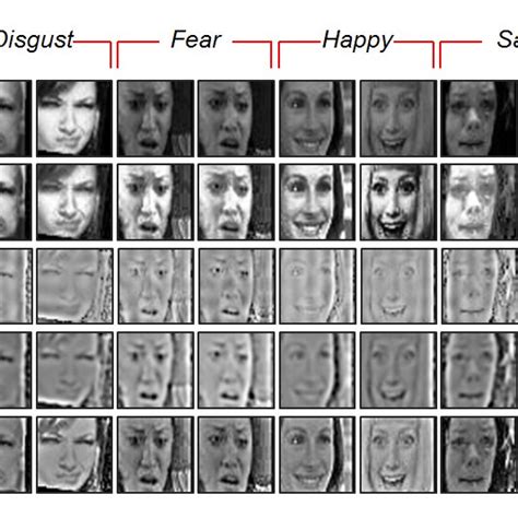 pdf baseline cnn structure analysis for facial expression recognition