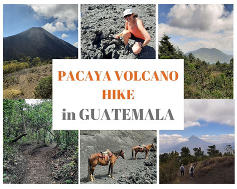 Everything You Need To Know For The Pacaya Volcano Hike In Guatemala
