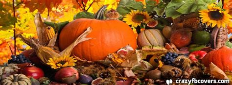 Fall Pumpkin Facebook Cover Photos Cover With Zipper