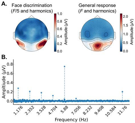 Extensive Visual Training In Adulthood Reduces An Implicit Neural Marker Of The Face Inversion