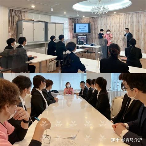 小青鸟见习初体验 知乎