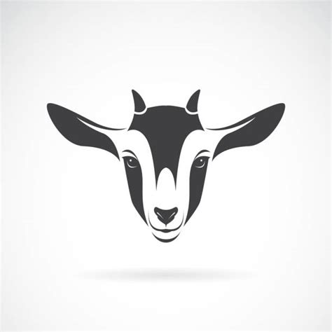 Ziege Bart Illustrationen Und Vektorgrafiken Istock