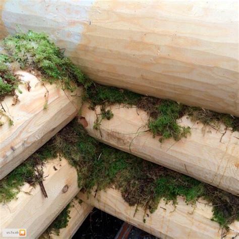 Конопатка или герметик Чем лучше заделывать щели между брёвнами