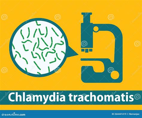 Chlamydia Trachomatis Stock Illustration Illustration Of Page 264441419
