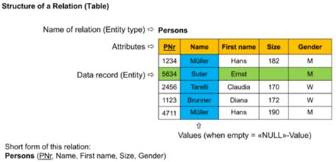 DATABASE MANAGEMENT 2 Flashcards Quizlet