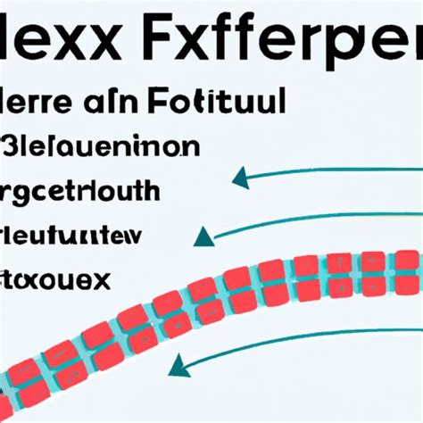 How Long Does It Take Flexeril To Work A Comprehensive Guide The