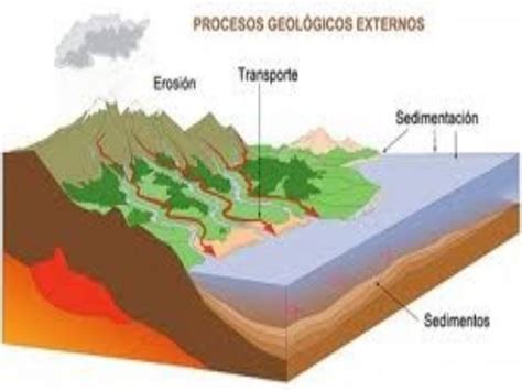 Procesos Exogenos Geography Quizizz
