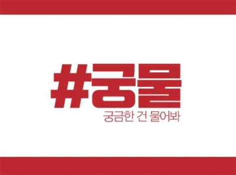 2017년 신조어 능력평가 인스티즈 Instiz 이슈 카테고리