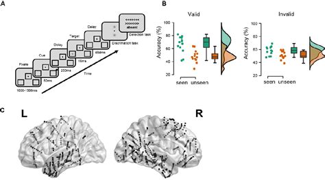 Figure 1 From Title Fronto Parietal Networks Shape Human Conscious Report Through Attention