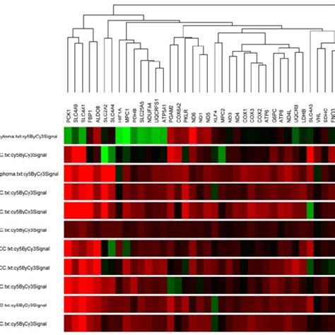 Hierarchical Clustering Analysis Of The Genes With Significantly