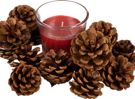 Cinnamon Scented Pinecones With Glade Fall Scented Candle