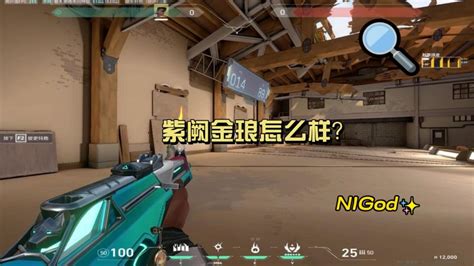 你们觉得紫阙金琅套装怎么样？游戏射击游戏好看视频