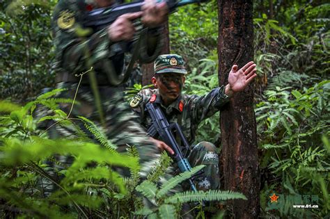 打野开战 兵哥哥扮起了丛林猎人 中国军网