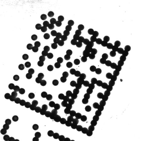 Halcon Datamatrix 数据解码，报invalid Size Halcon软件 Halcon视觉技术网